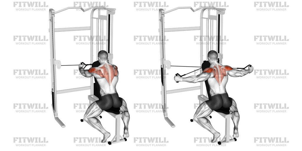 Cable Seated Rear Delt Fly With Chest Support: Exercise Guide ...
