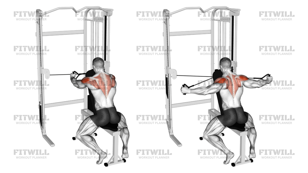 Cable Seated Rear Delt Fly With Chest Support: Exercise Guide ...