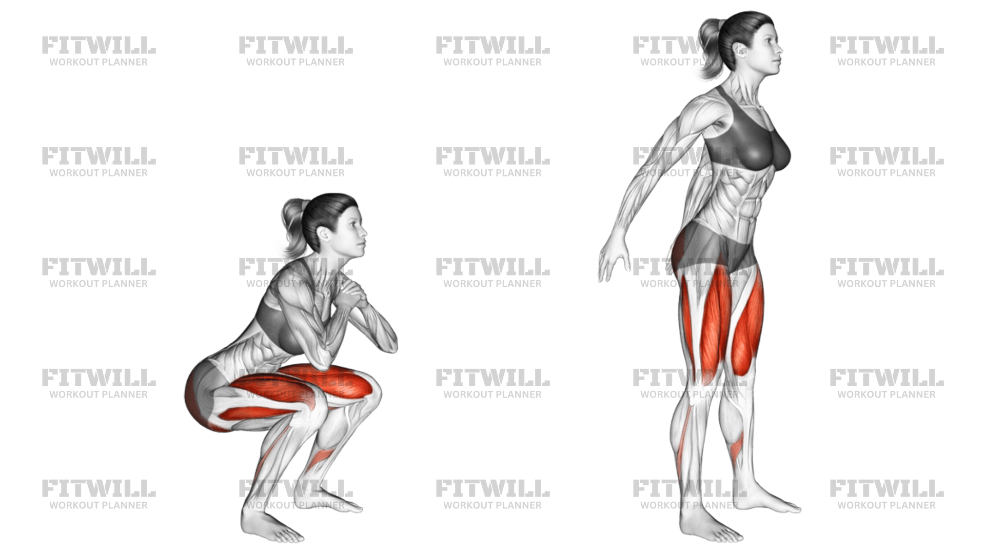 Air Squat: Exercise Guide, Techniques, Benefits, How to, Muscles Worked ...