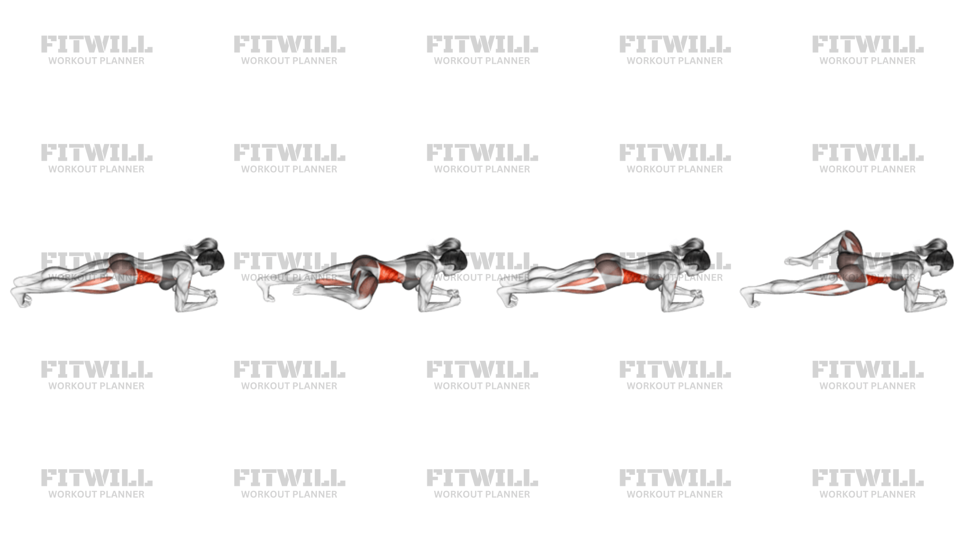 Spider Plank (female): Guide, Techniques, Benefits, How to, Muscles ...