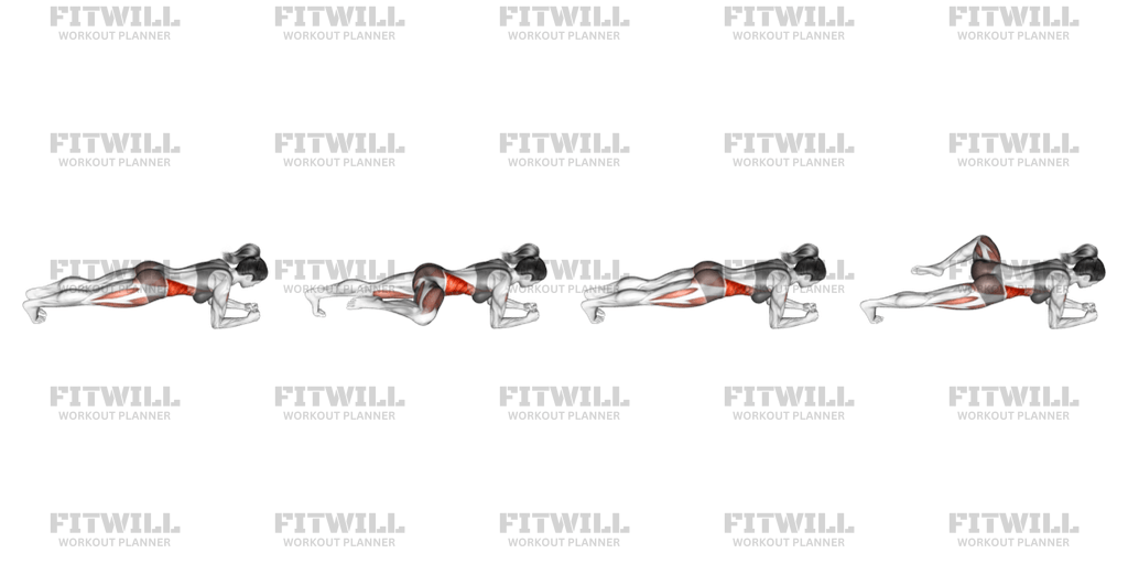 Spider Plank (female): Guide, Techniques, Benefits, How to, Muscles ...