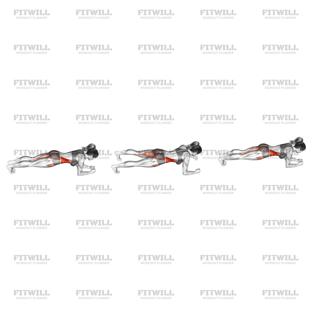 Side Step Front Plank: Exercise Guide, Video, Techniques, Benefits, How ...