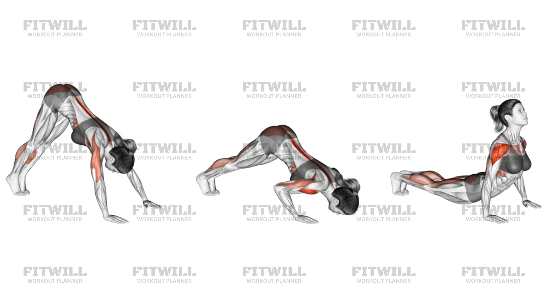 Pike To Cobra: Exercise Guide, Techniques, Benefits, How to, Muscles ...