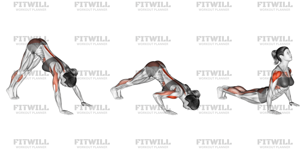 Pike To Cobra: Exercise Guide, Techniques, Benefits, How to, Muscles ...