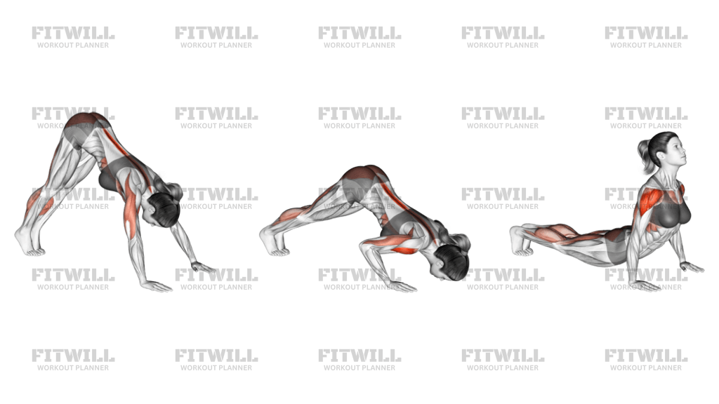 Pike To Cobra: Exercise Guide, Techniques, Benefits, How to, Muscles ...