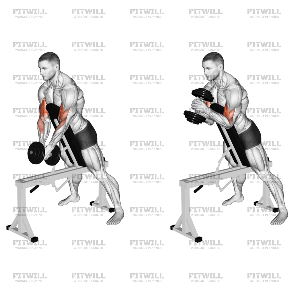 Dumbbell Single Spider Curl With Chest Support: Exercise Guide ...
