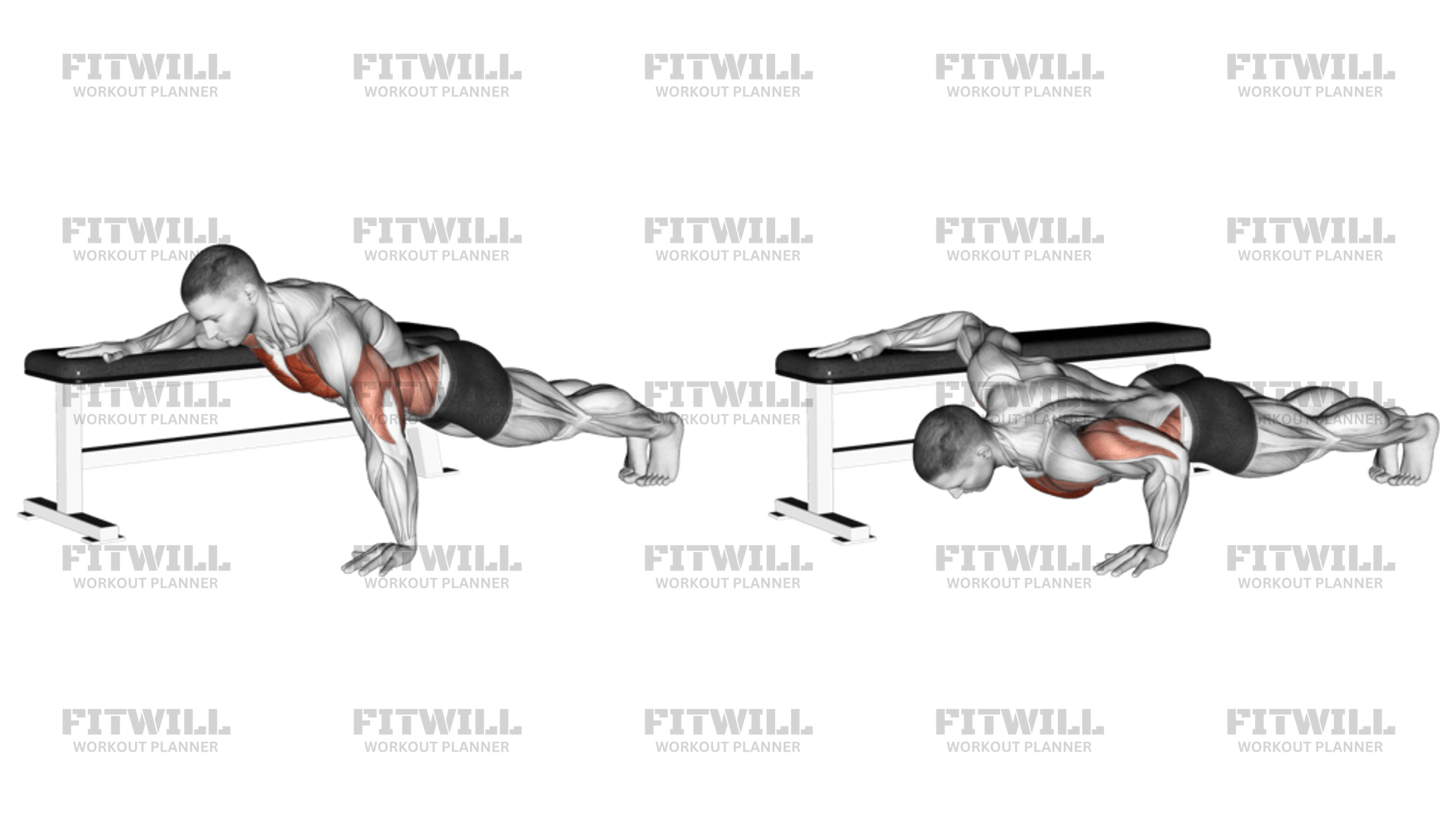 Bench Assisted One Arm Push-up: Exercise Guide, Video, Techniques ...