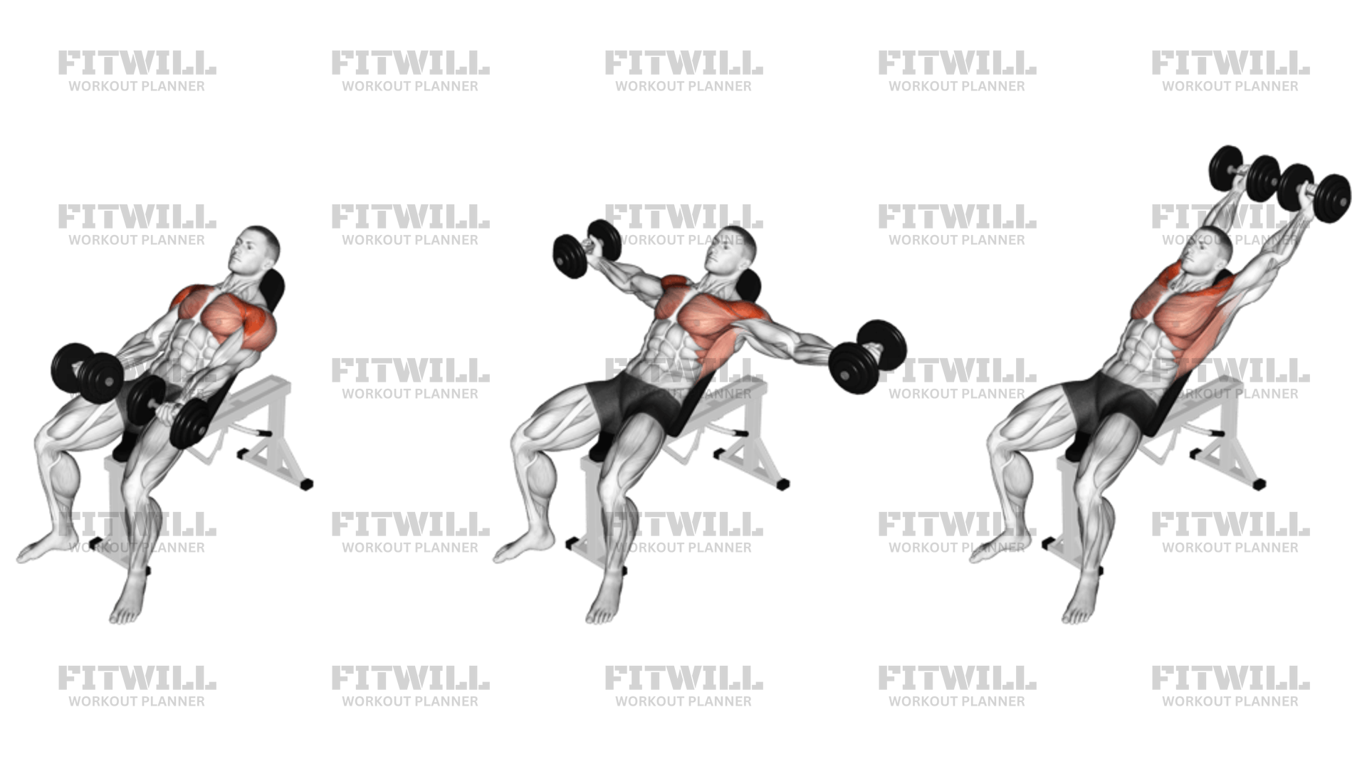 Dumbbell Incline Around The World: Exercise Guide, Techniques, Benefits ...