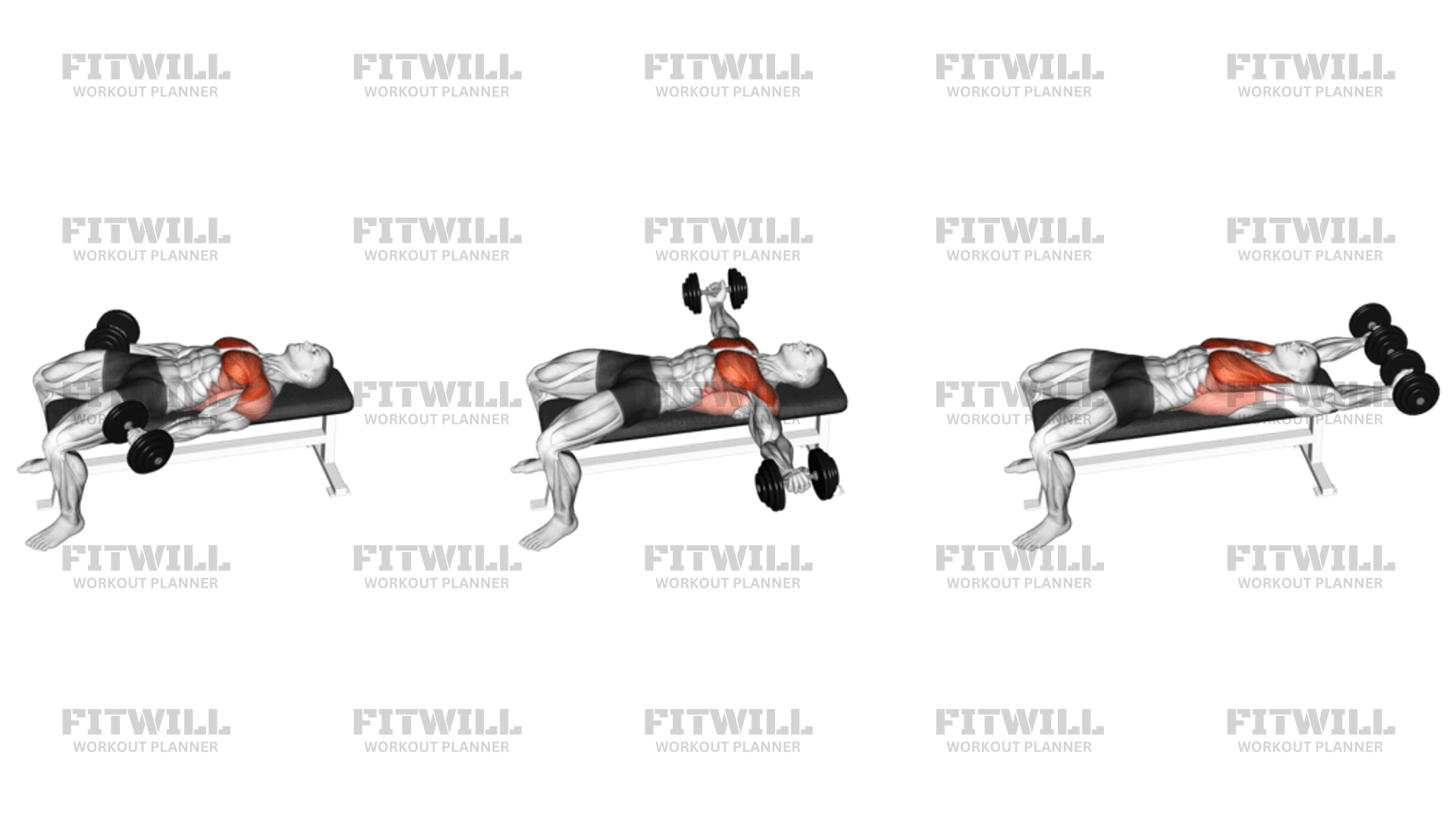 Dumbbell Flat Around The World: Exercise Guide, Techniques, Benefits ...