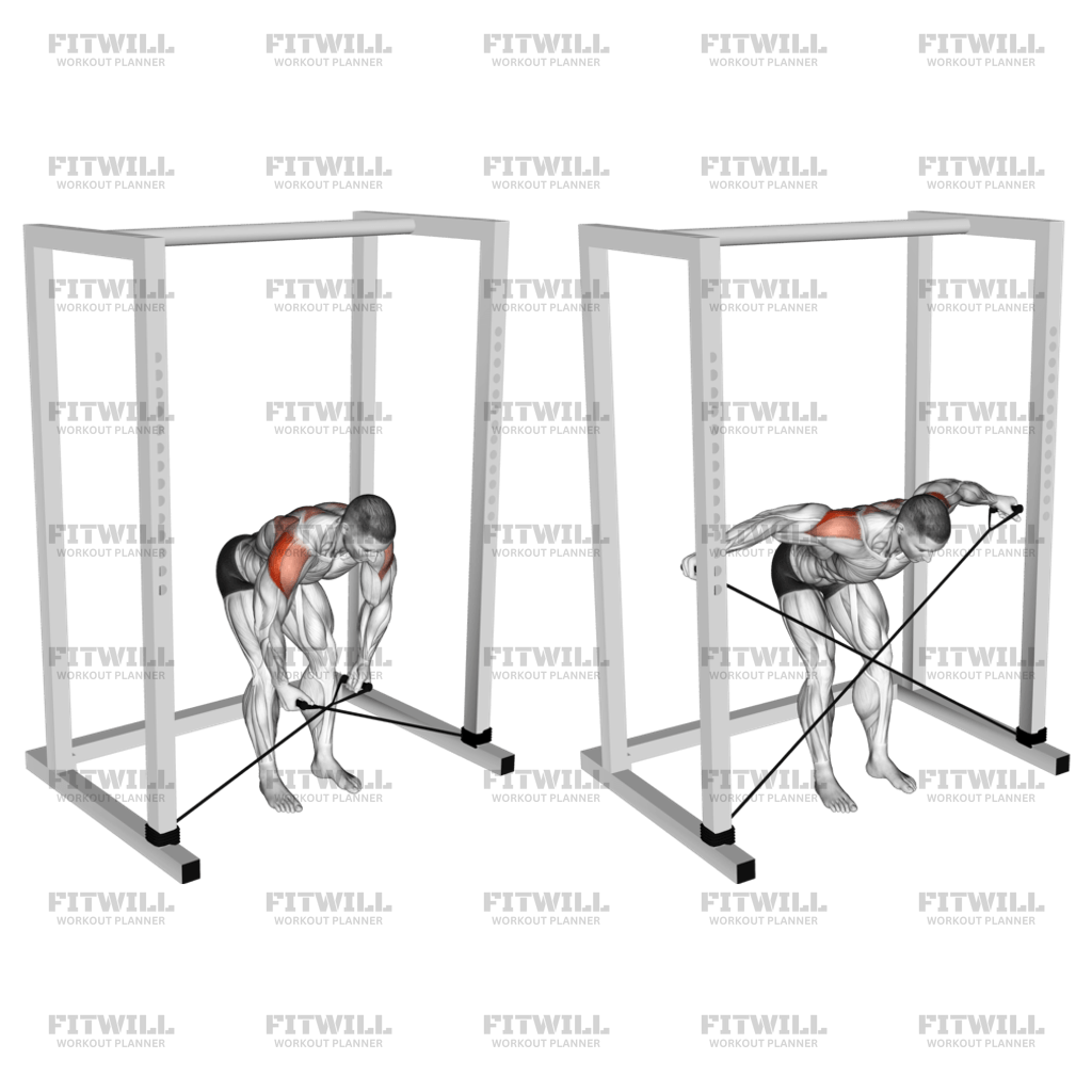 Band Bent-over Rear Lateral Raise: Exercise Guide, Video, Techniques ...