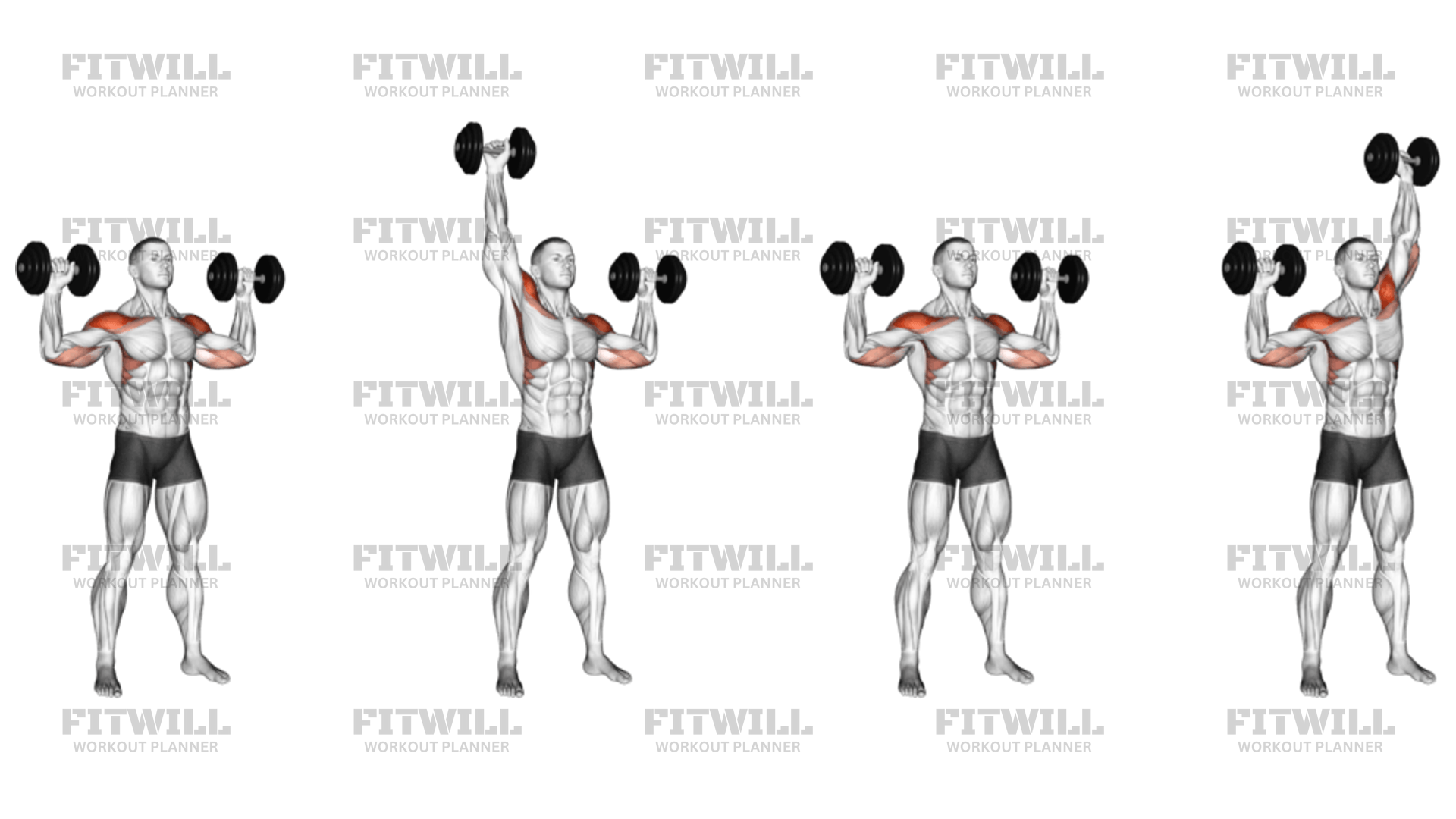 Dumbbell Alternate Shoulder Press: Exercise Guide, Video, Techniques ...