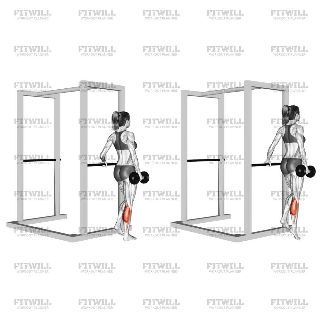 How to do Dumbbell Single Leg Calf Raise (VERSION 2): Techniques ...