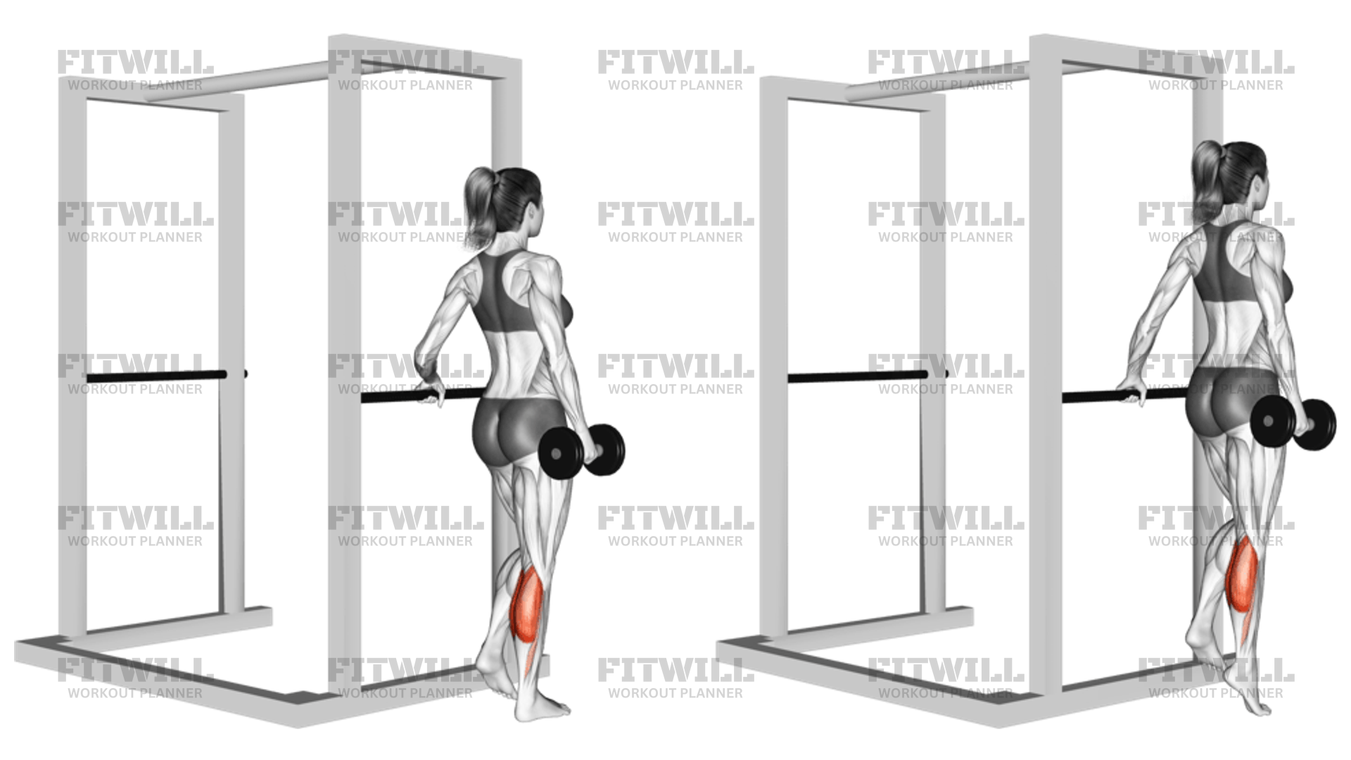 Dumbbell Single Leg Calf Raise (VERSION 2): Exercise Guide, Video ...