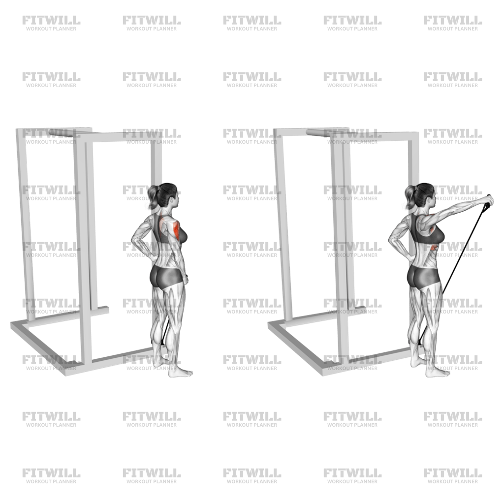 Band Front Lateral Raise: Exercise Video | Fitwill