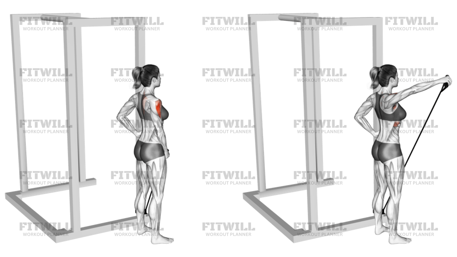 Band Front Lateral Raise: Exercise Guide, Video, Techniques, Benefits ...