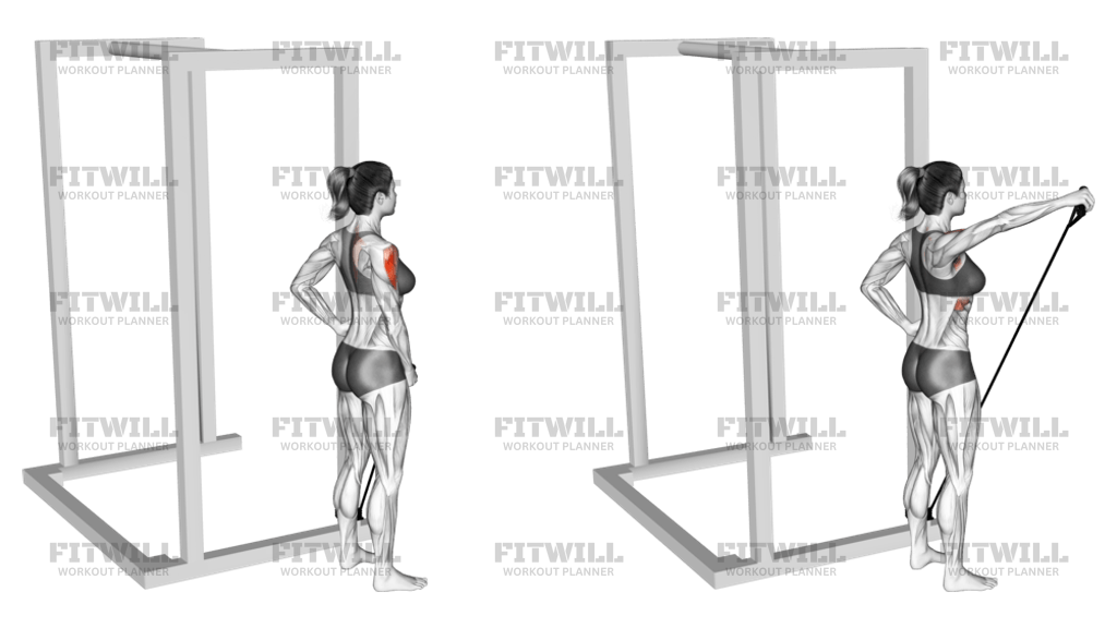 Band Front Lateral Raise: Exercise Guide, Video, Techniques, Benefits ...