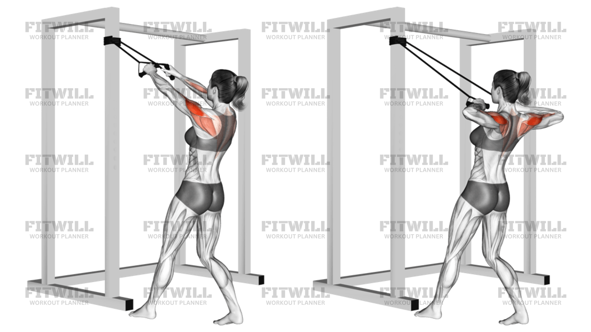 Band Standing Rear Delt Row: Exercise Guide, Video, Techniques ...