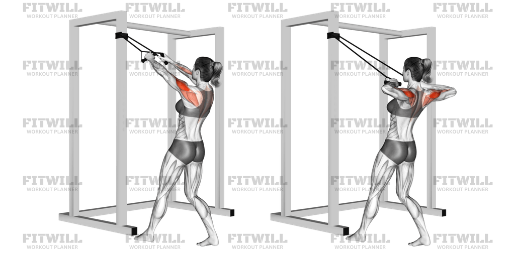 Band Standing Rear Delt Row: Exercise Guide, Video, Techniques ...