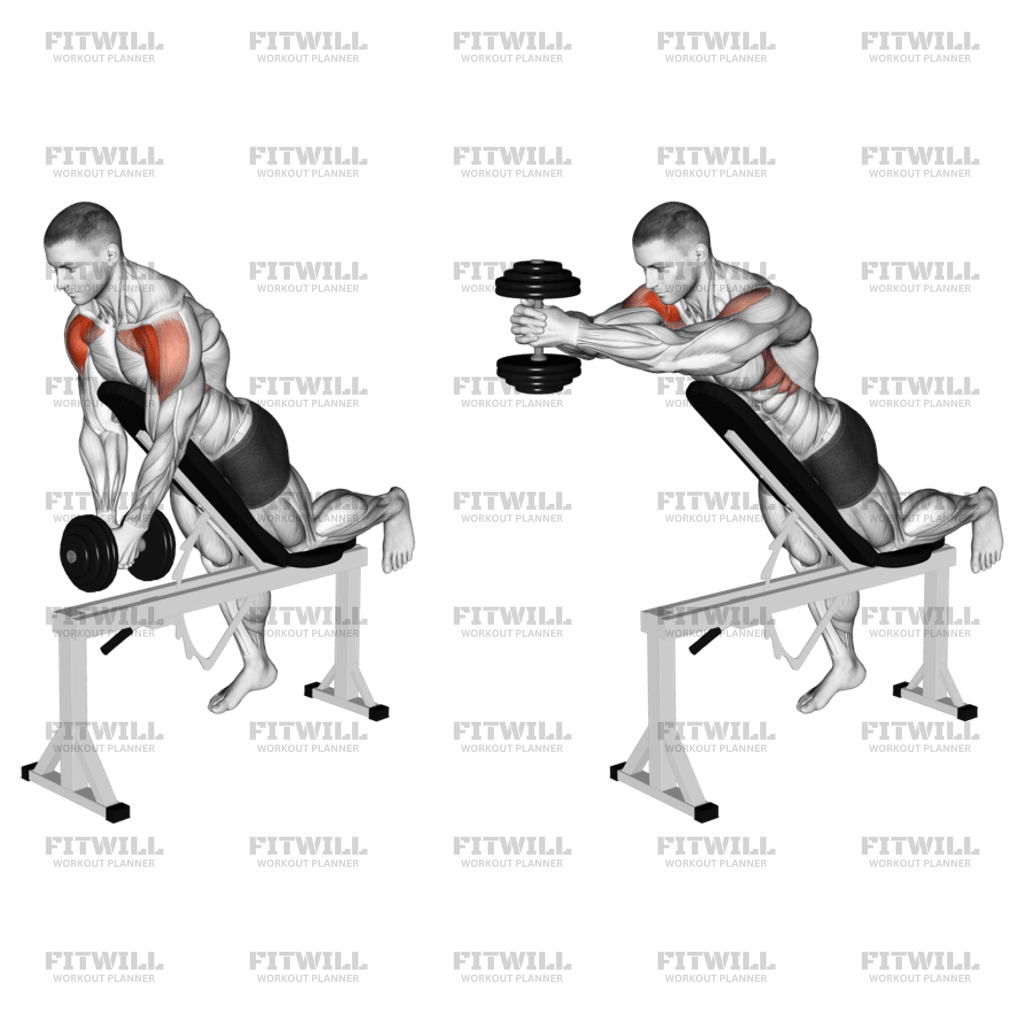 Dumbbell Incline Front Raise With Chest Support: Exercise Guide ...