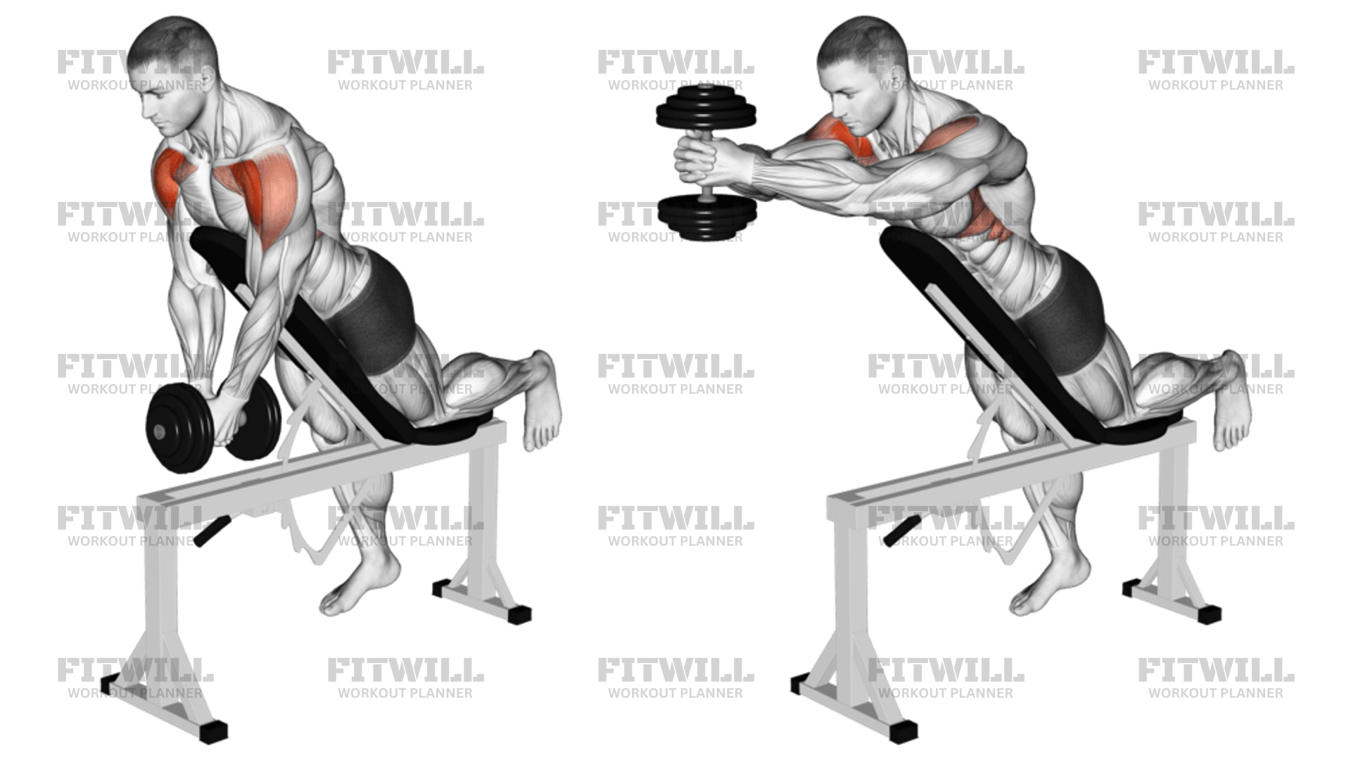 Dumbbell Incline Front Raise With Chest Support: Exercise Guide ...