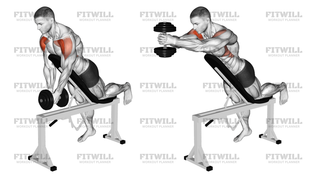 Dumbbell Incline Front Raise With Chest Support: Exercise Guide ...