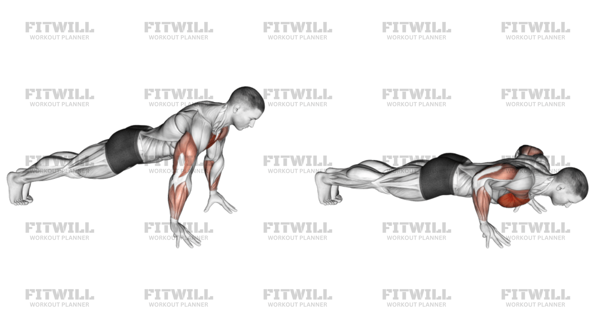 30-Day 100 Push-ups Challenge | Workout Library | Fitwill