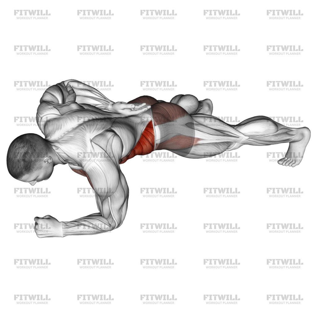 One Arm Front Plank: Exercise Guide, Video, Techniques, Benefits, How ...