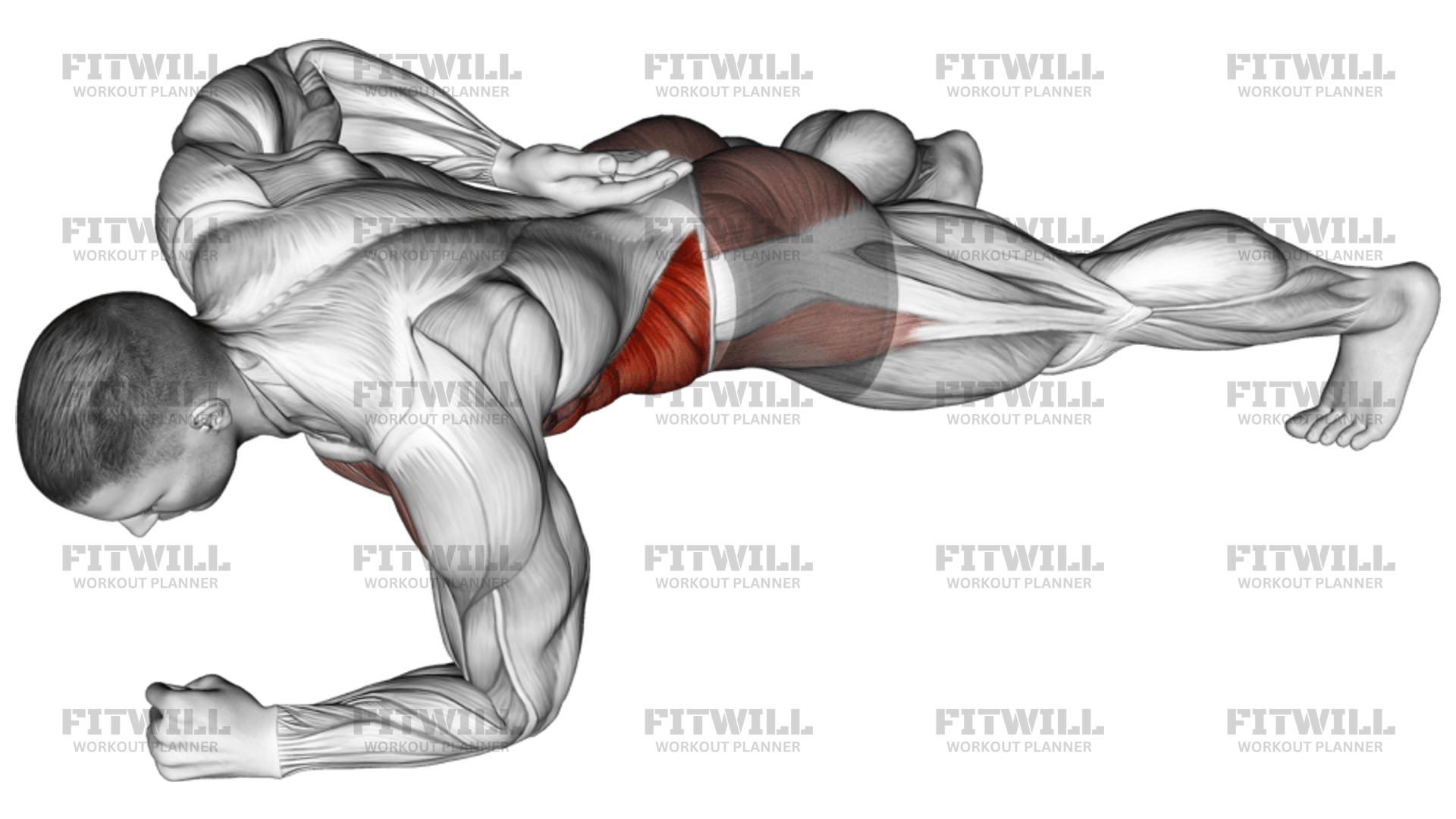 One-Arm Front Plank: Exercise Guide, Video, Techniques, Benefits, How ...