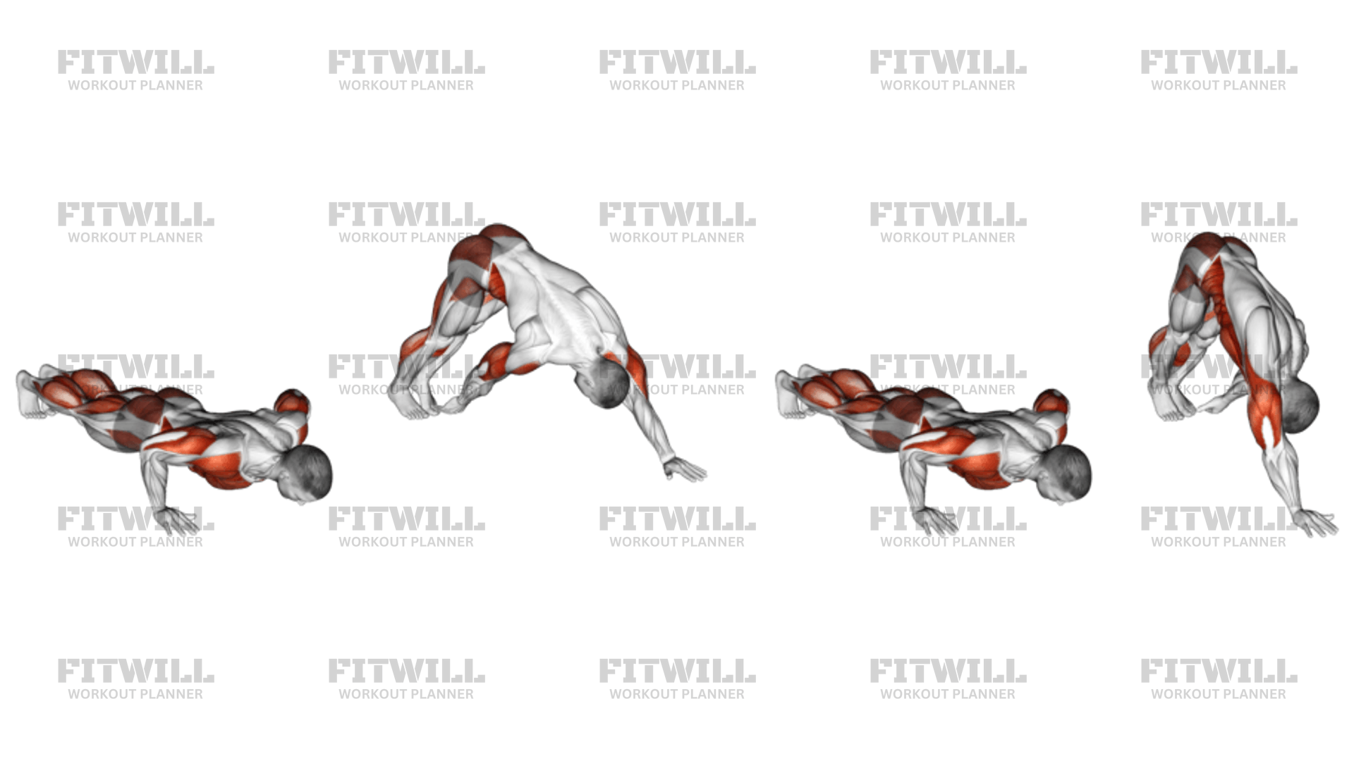 Push-up Pike Toe Touch: Exercise Guide, Techniques, Benefits, How to ...