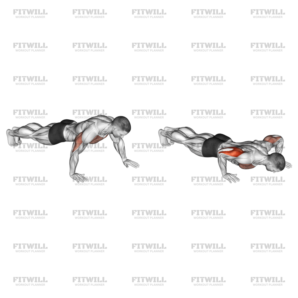 Push-up Hand By Hand: Exercise Guide, Video, Techniques, Benefits, How ...