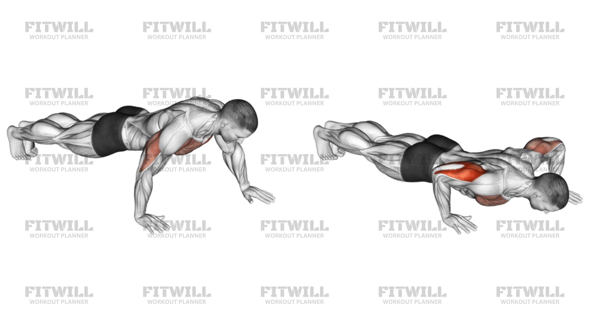 Push-up Hand By Hand: Exercise Guide, Video, Techniques, Benefits, How ...