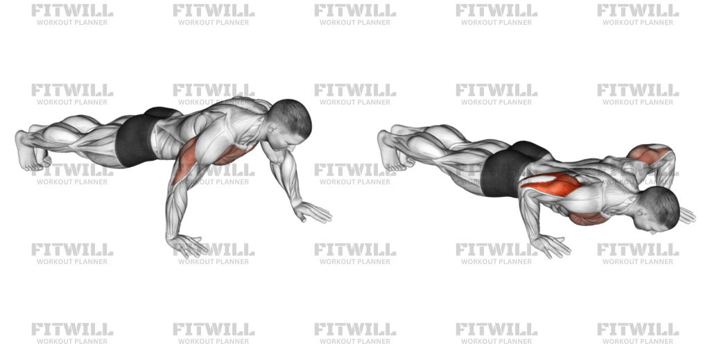 Flexión Mano A Mano: Guía de Ejercicios, Video, Técnicas, Beneficios ...