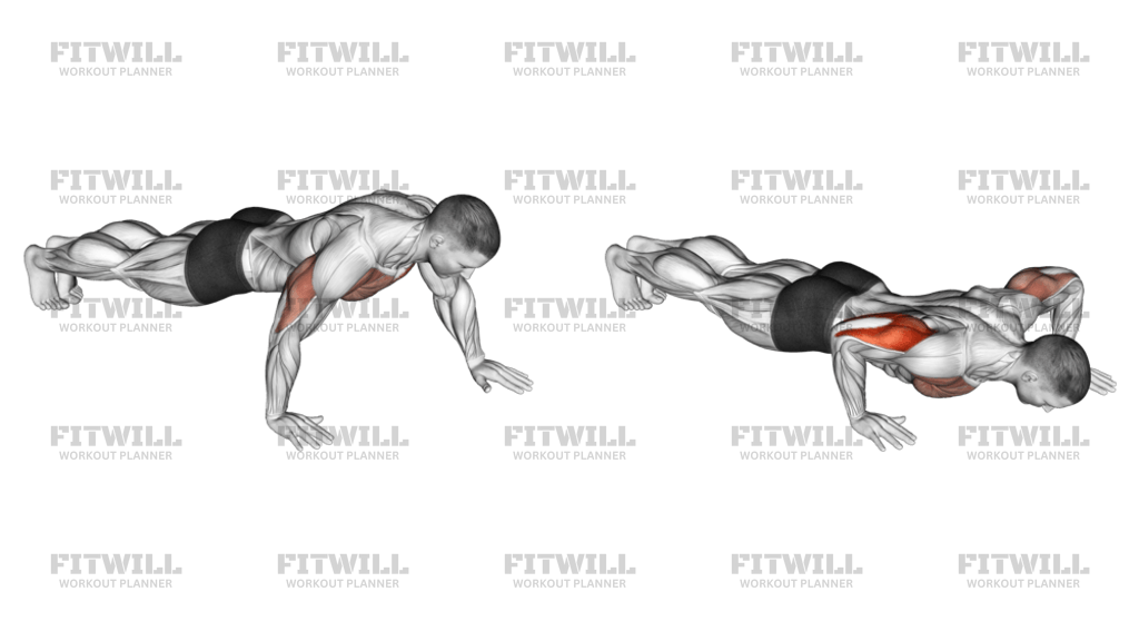 Push-up Hand By Hand: Exercise Guide, Video, Techniques, Benefits, How ...