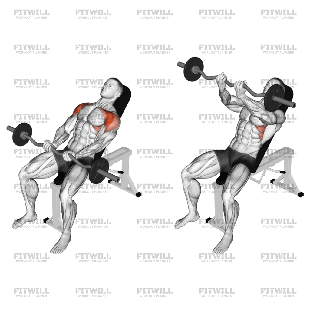EZ-bar Incline Front Raise: Exercise Guide, Techniques, Benefits, How ...