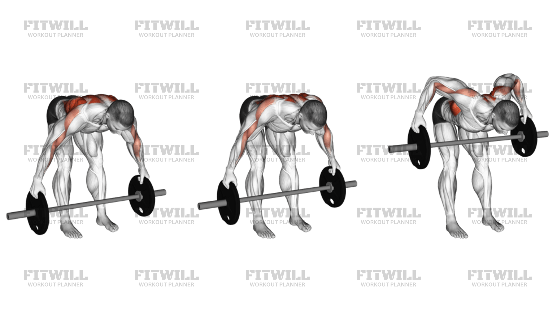 Remo Con Barra Inclinado Y Agarre Amplio Plus: Guía de Ejercicios ...