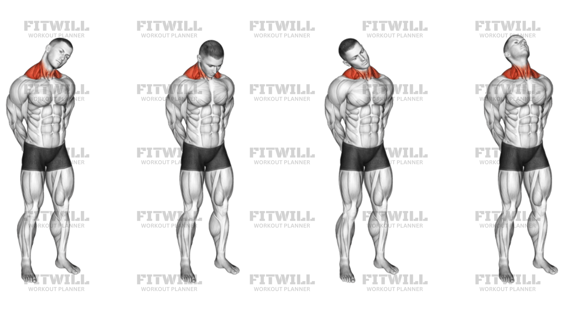 Neck Circle Stretch: Exercise Guide, Video, Techniques, Benefits, How ...