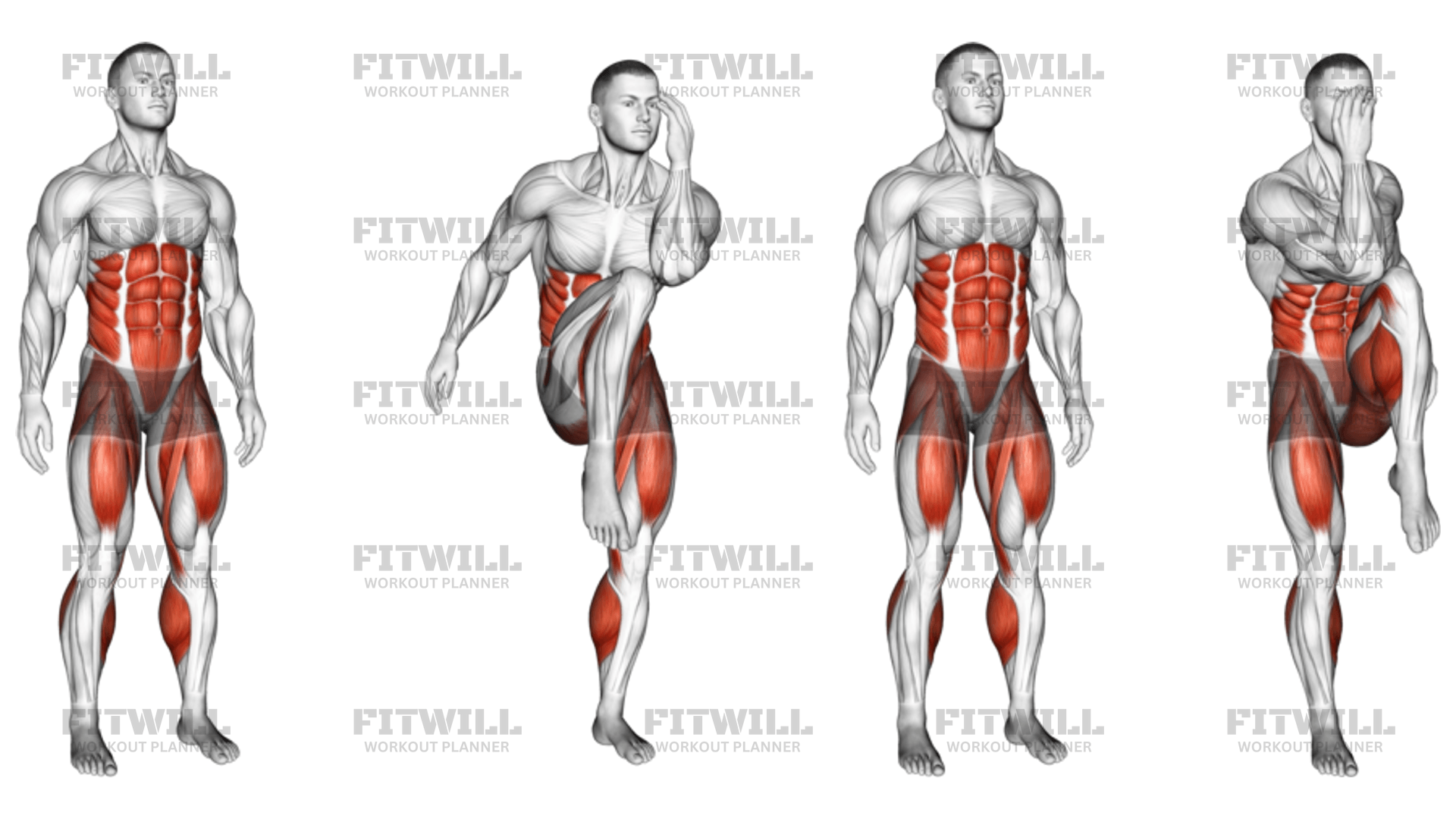 Standing Air Bike: Exercise Guide, Video, Techniques, Benefits, How to, Muscles Worked, Tips ...