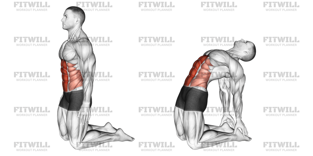 Backward Abdominal Stretch: Exercise Guide, Video, Techniques, Benefits ...