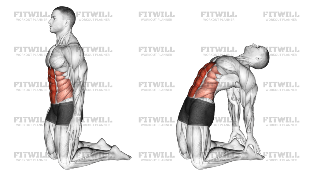 Backward Abdominal Stretch: Exercise Guide, Video, Techniques, Benefits ...