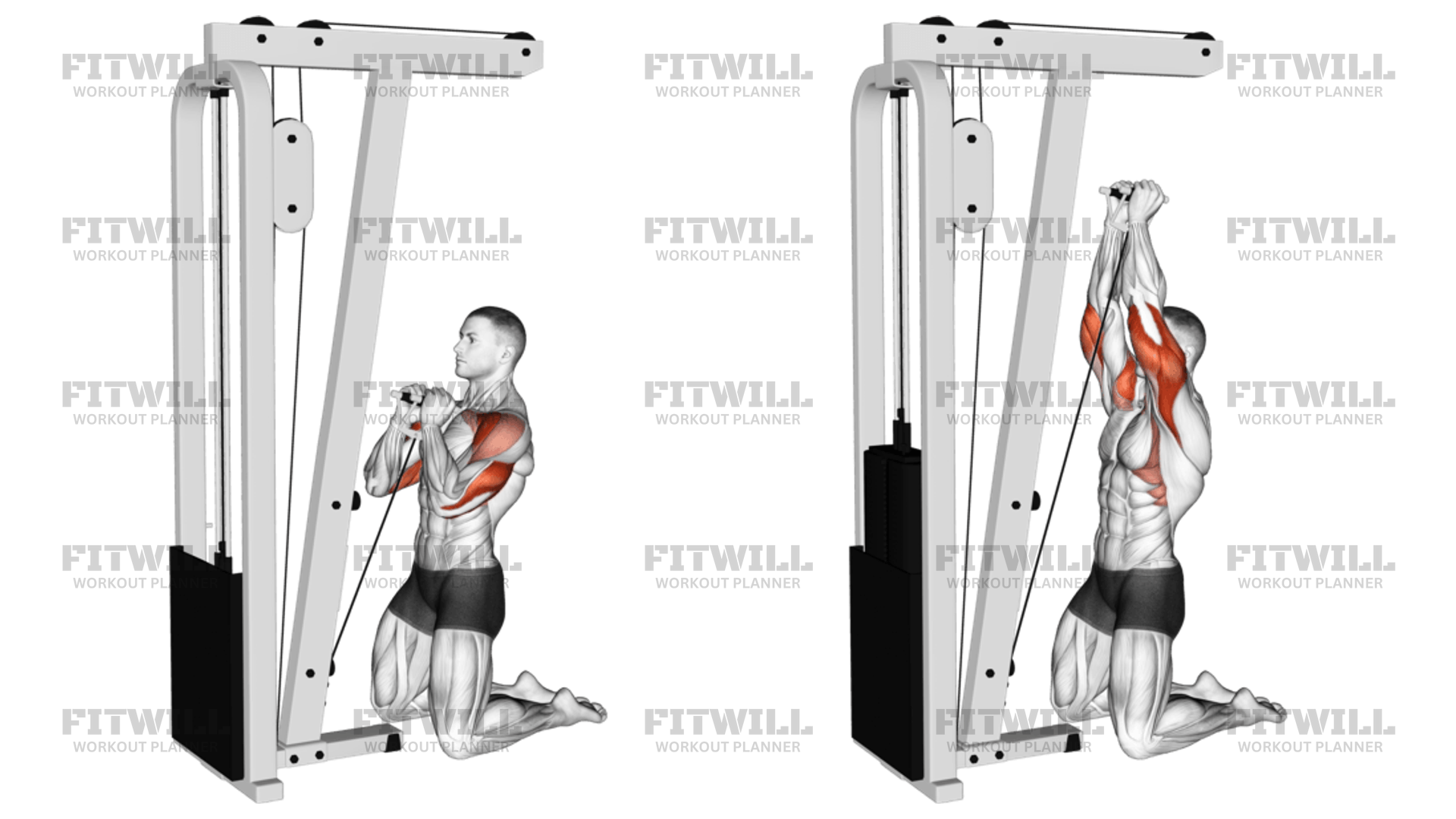Cable Kneeling Shoulder Press: Exercise Guide, Video, Techniques ...