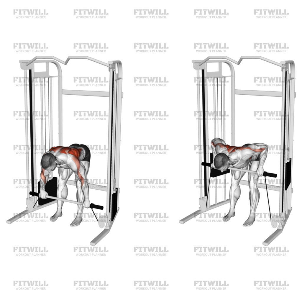 Cable Bent Over Row With Bar: Exercise Guide, Techniques, Benefits, How ...