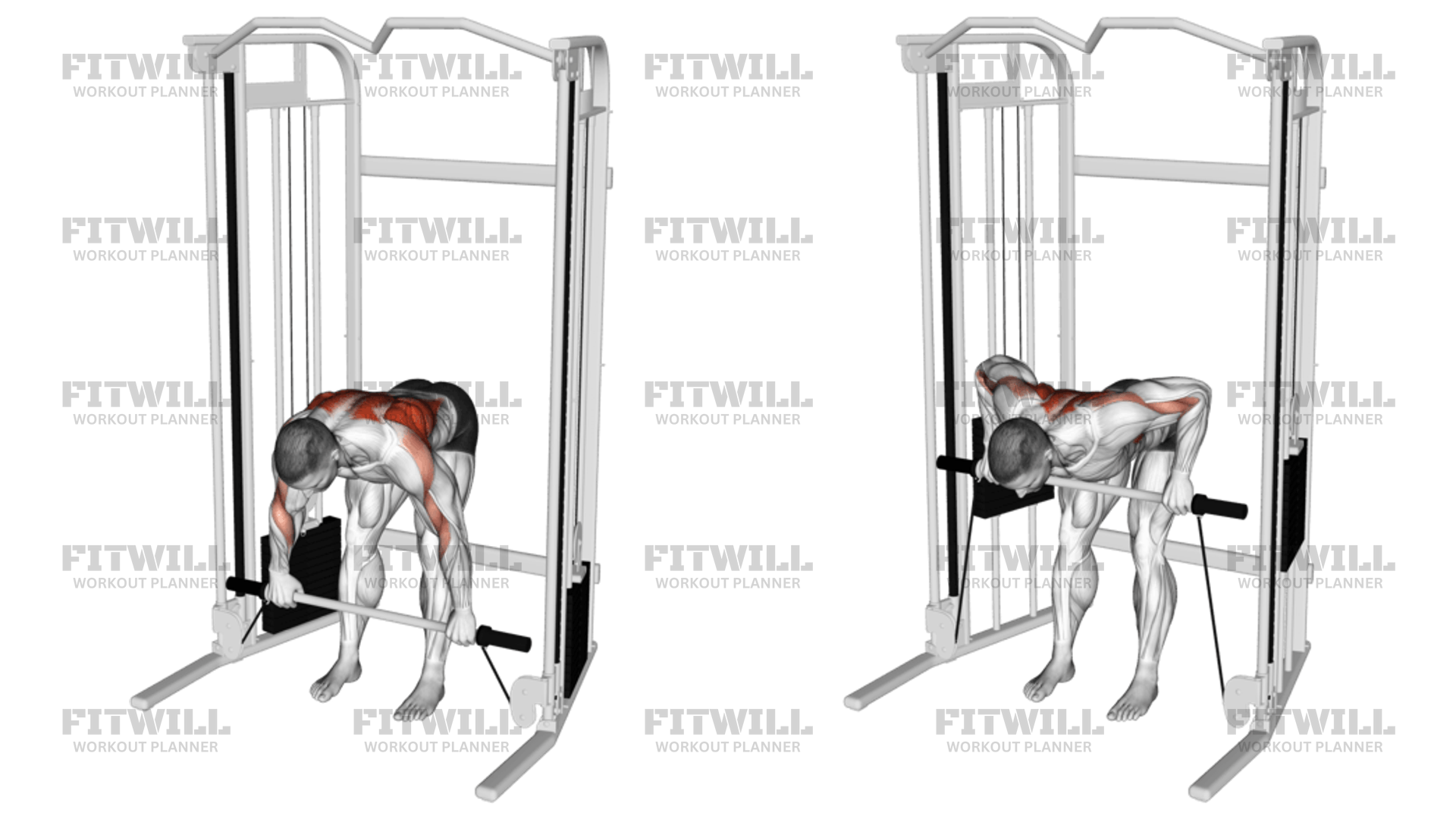 Cable Bent Over Row With Bar: Exercise Guide, Techniques, Benefits, How ...