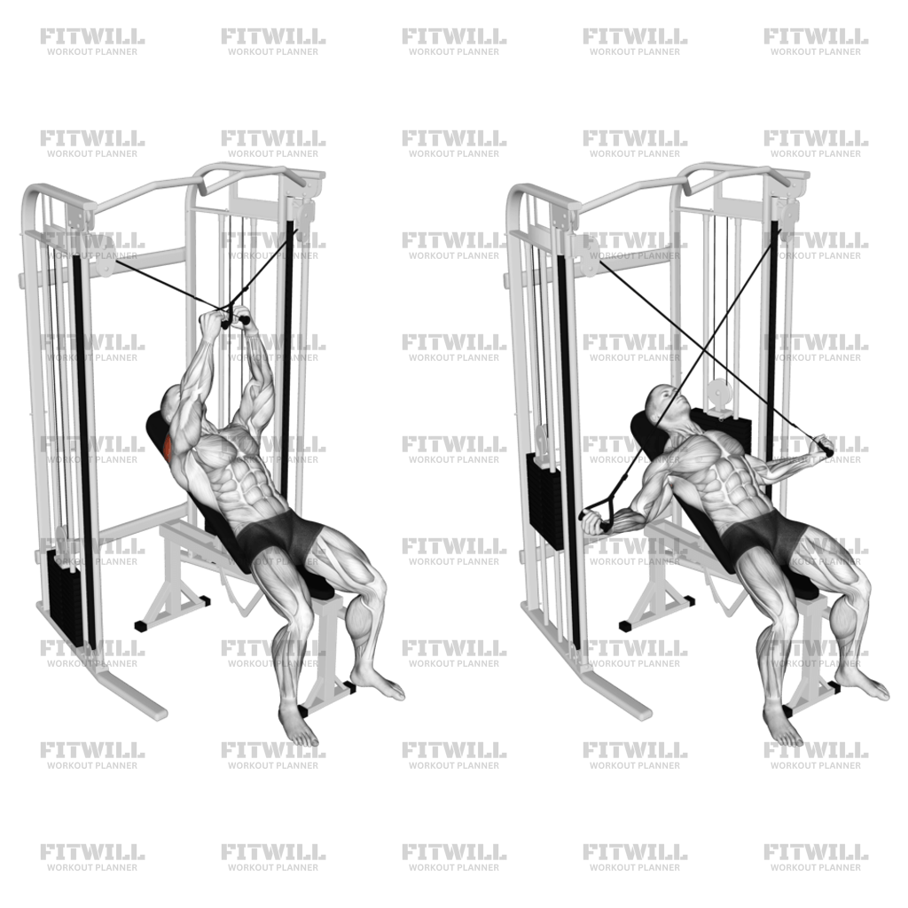 Cable Incline Cross Rear Fly: Exercise Guide, Techniques, Benefits, How ...