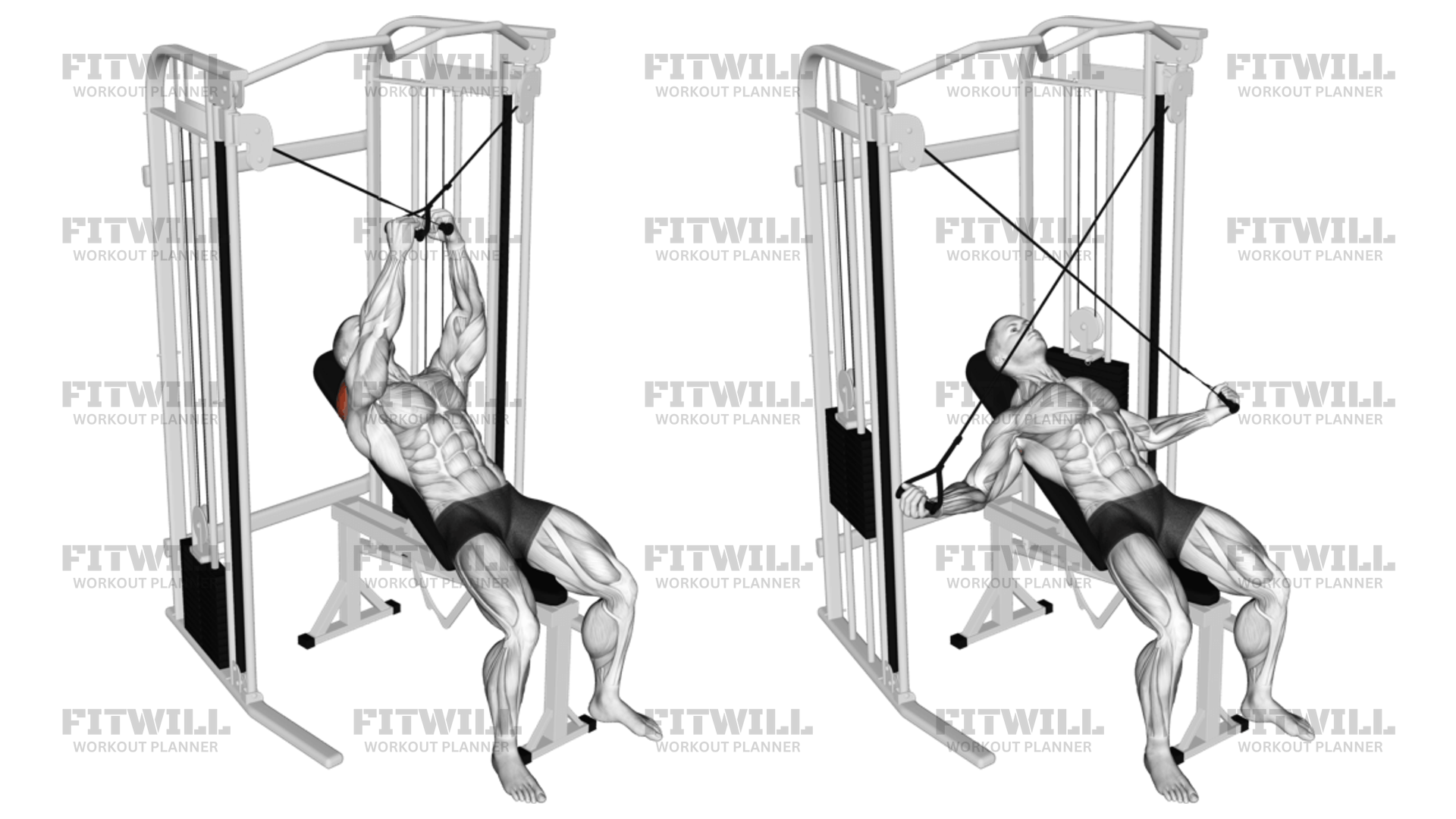 Cable Incline Cross Rear Fly: Exercise Guide, Techniques, Benefits, How ...