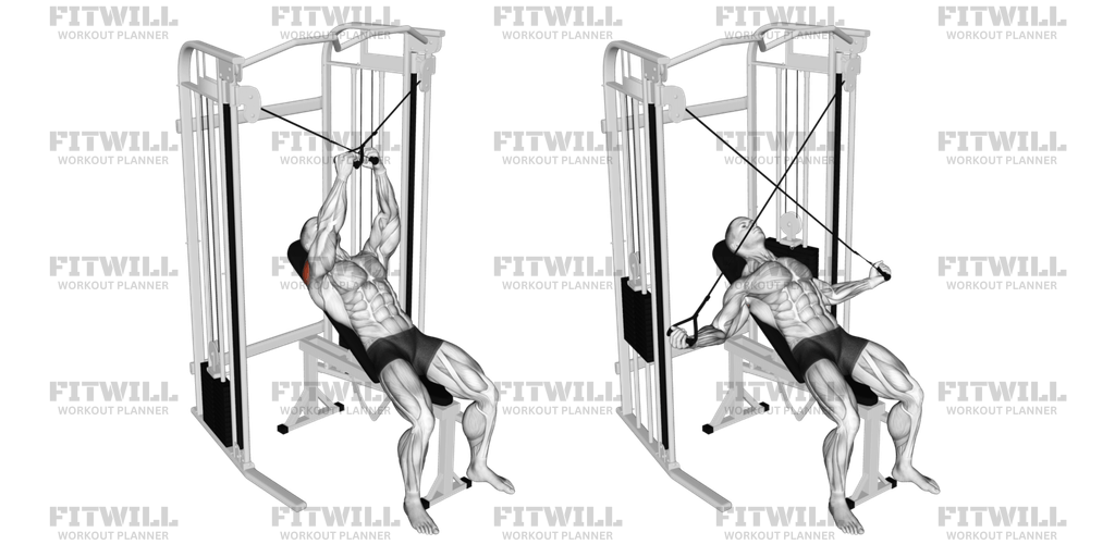 Cable Incline Cross Rear Fly: Exercise Guide, Techniques, Benefits, How ...