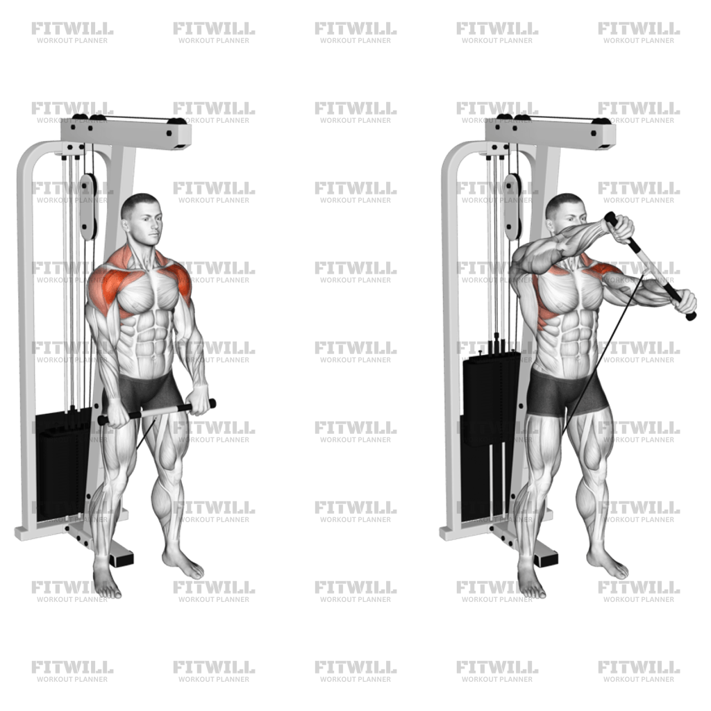 Cable Standing Front Raise With Rotation: Exercise Guide, Video ...