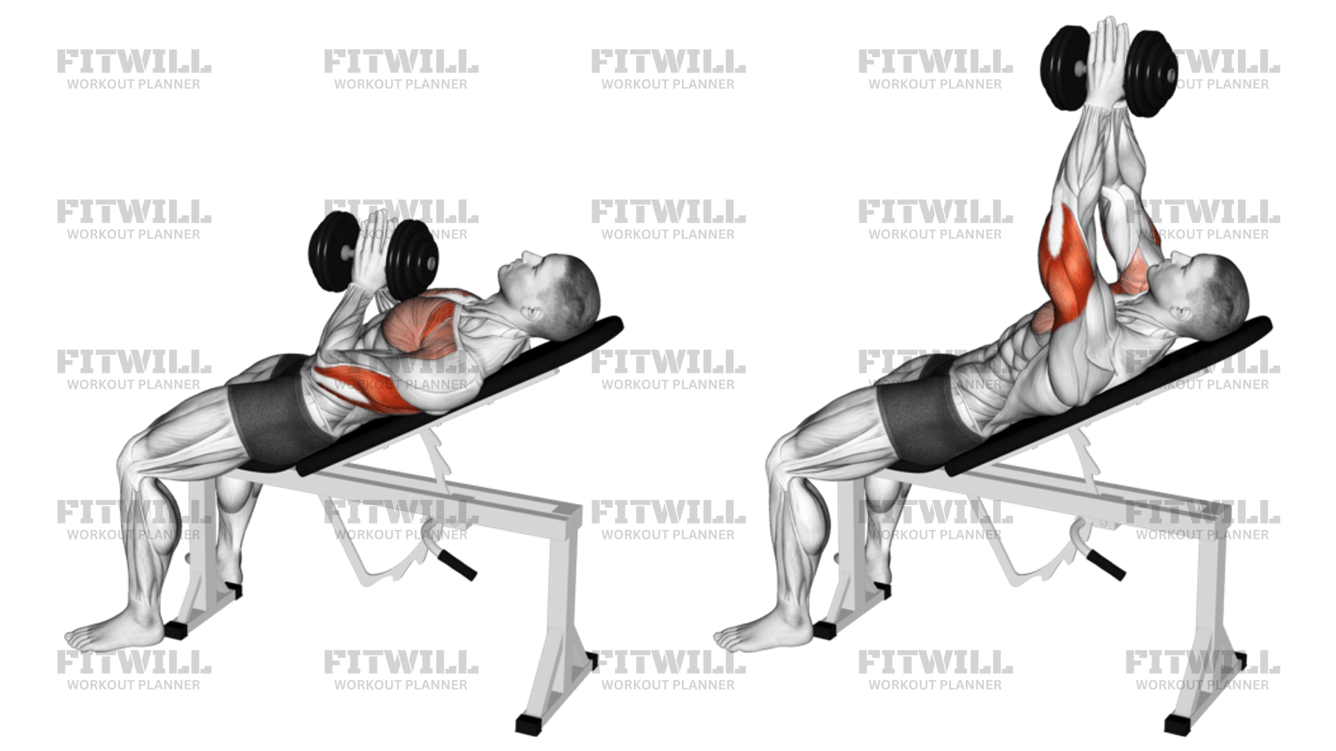 Dumbbell Incline Close-grip Press Variation: Exercise Guide, Video ...