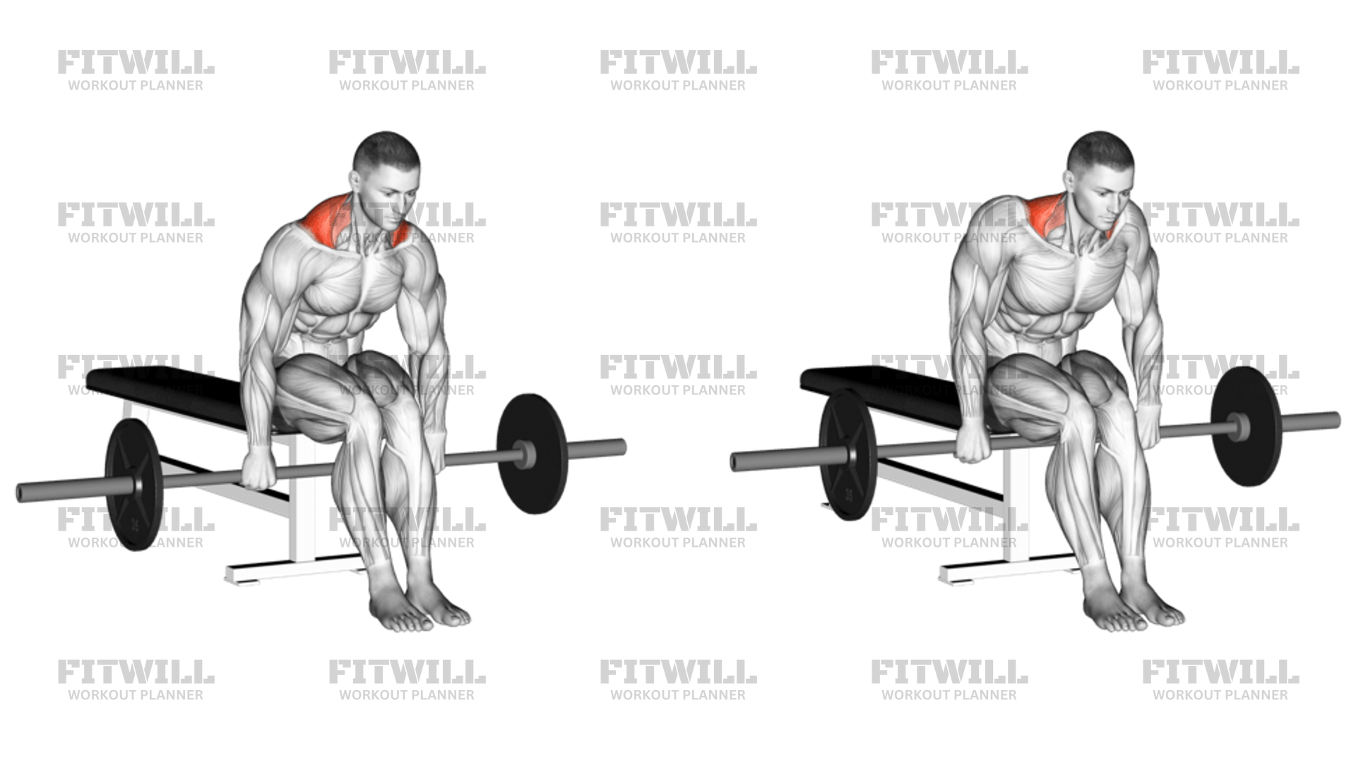 Barbell Seated Shrug: Exercise Guide, Video, Techniques, Benefits, How ...