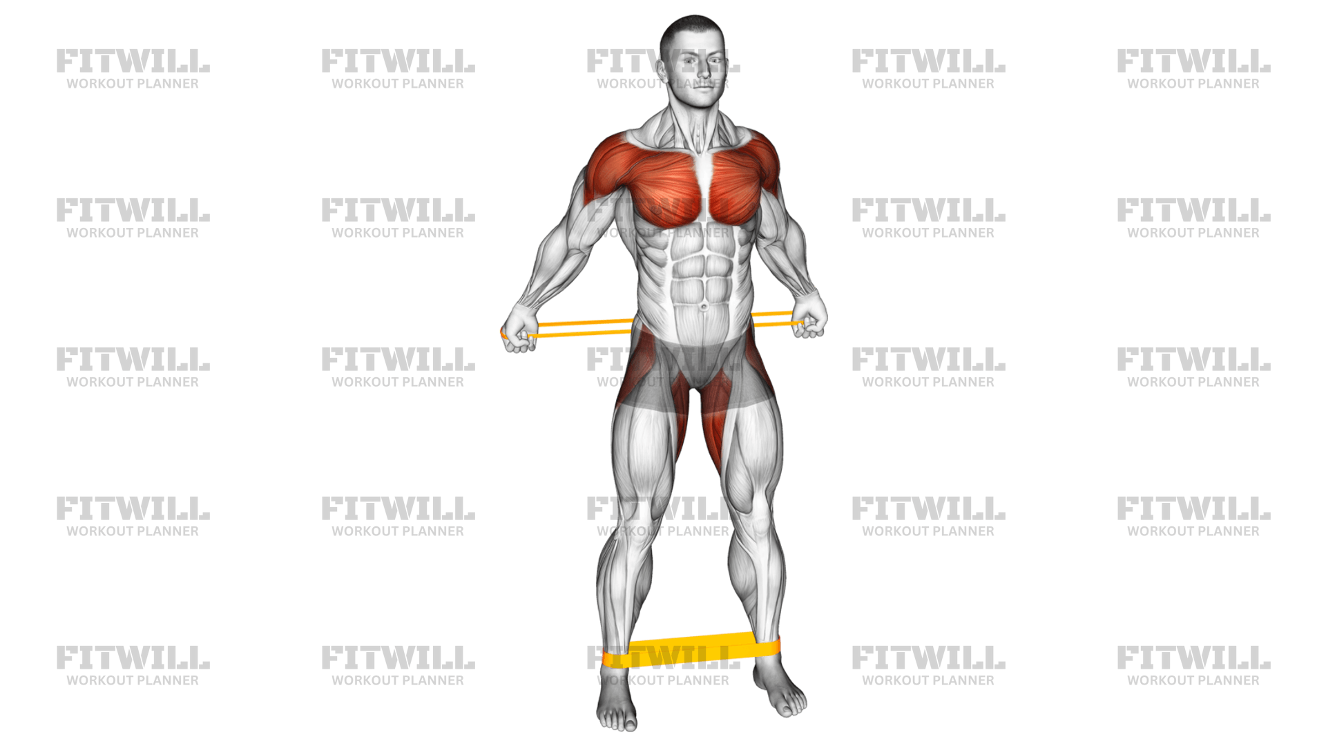 Resistance Band Standing Back Warming-up: Exercise Guide, Techniques ...