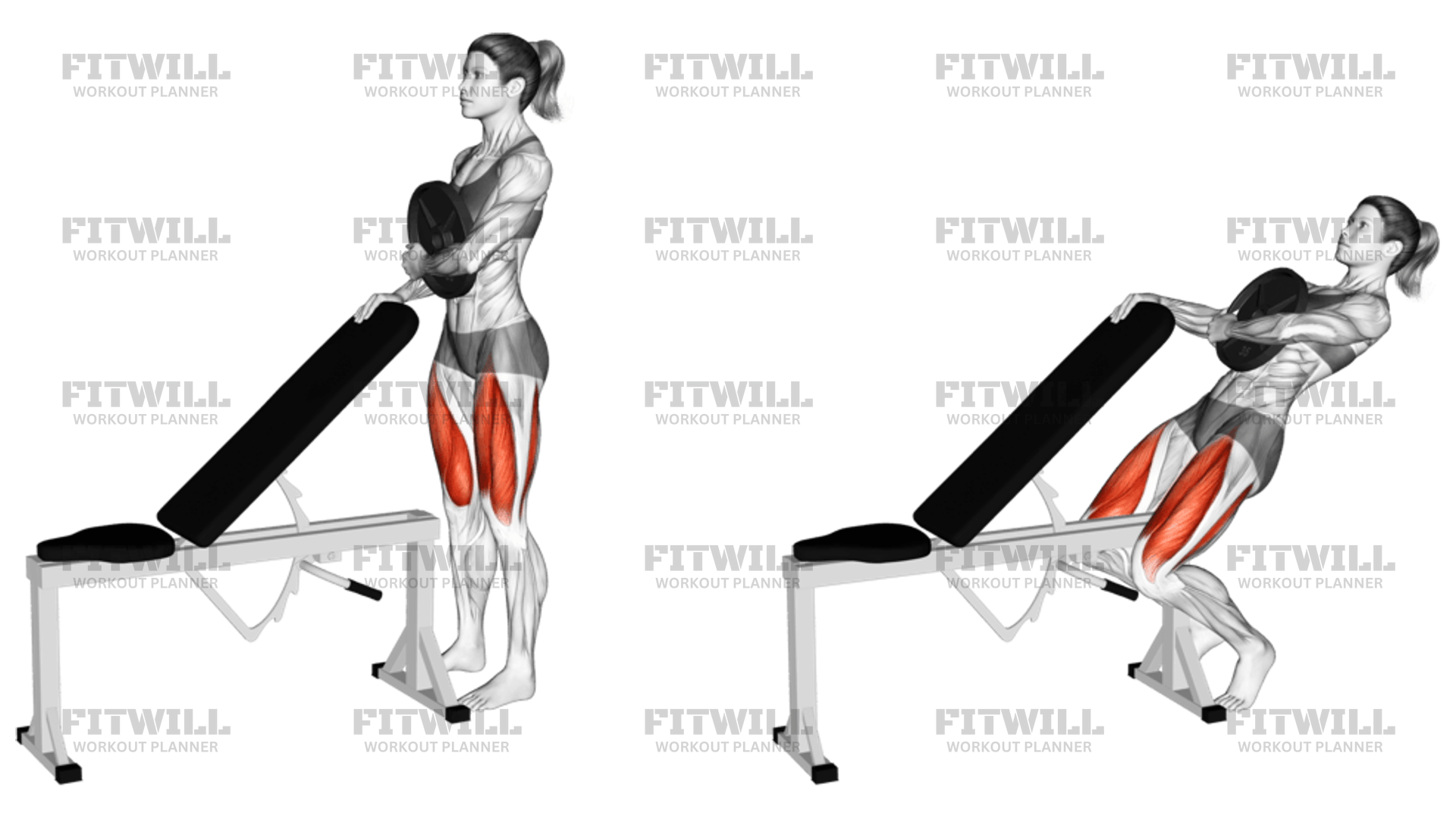 Weighted Sissy Squat: Exercise Guide, Video, Techniques, Benefits, How ...